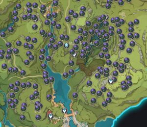 Sumeru Rose Locations in Genshin Impact - Genshin DB